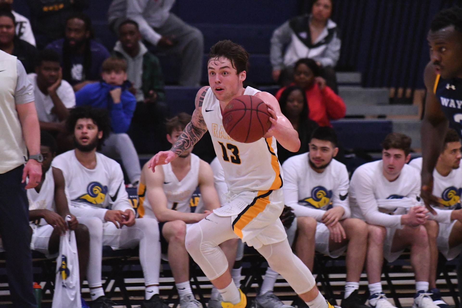 Kiwi Men in College – NCAA Div III and NAIA | LACEY LOWDOWN